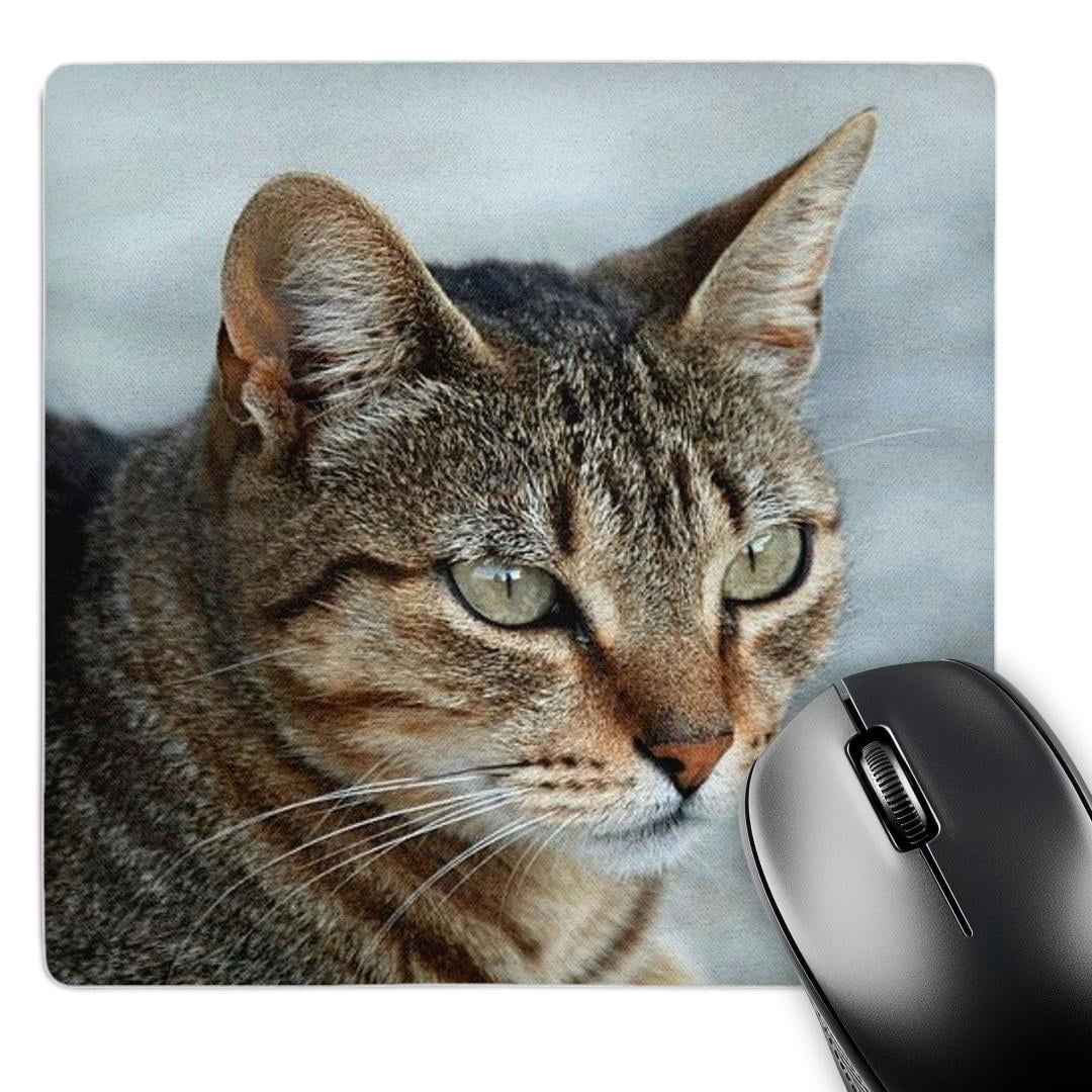 3dRose Tabby Cat Portrait Mouse Pad, 8 x 8 Inches, Heavy-Duty Recycled ...