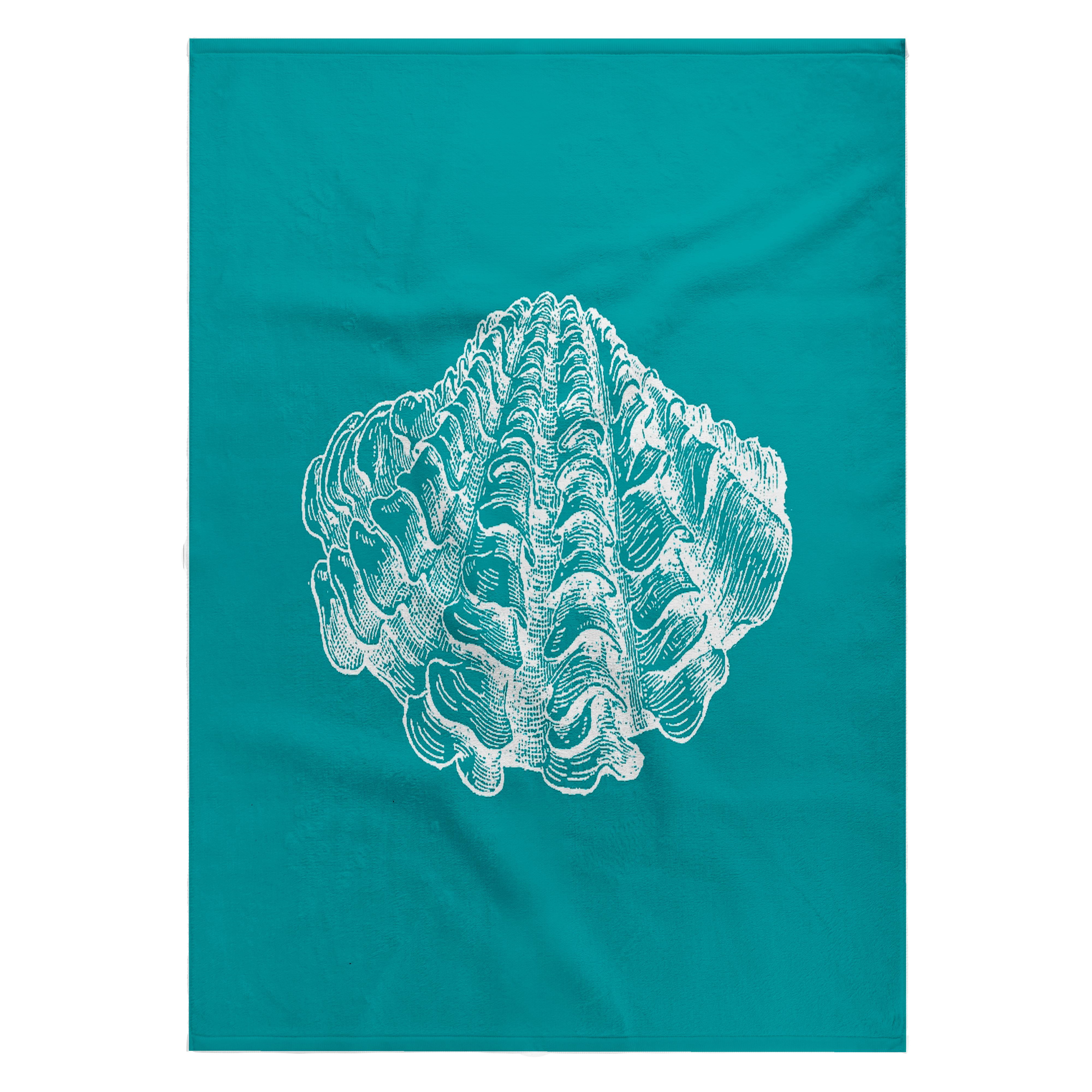 3dRose, Teal Blue seashell etching print Modern Sea shell clam beach ...