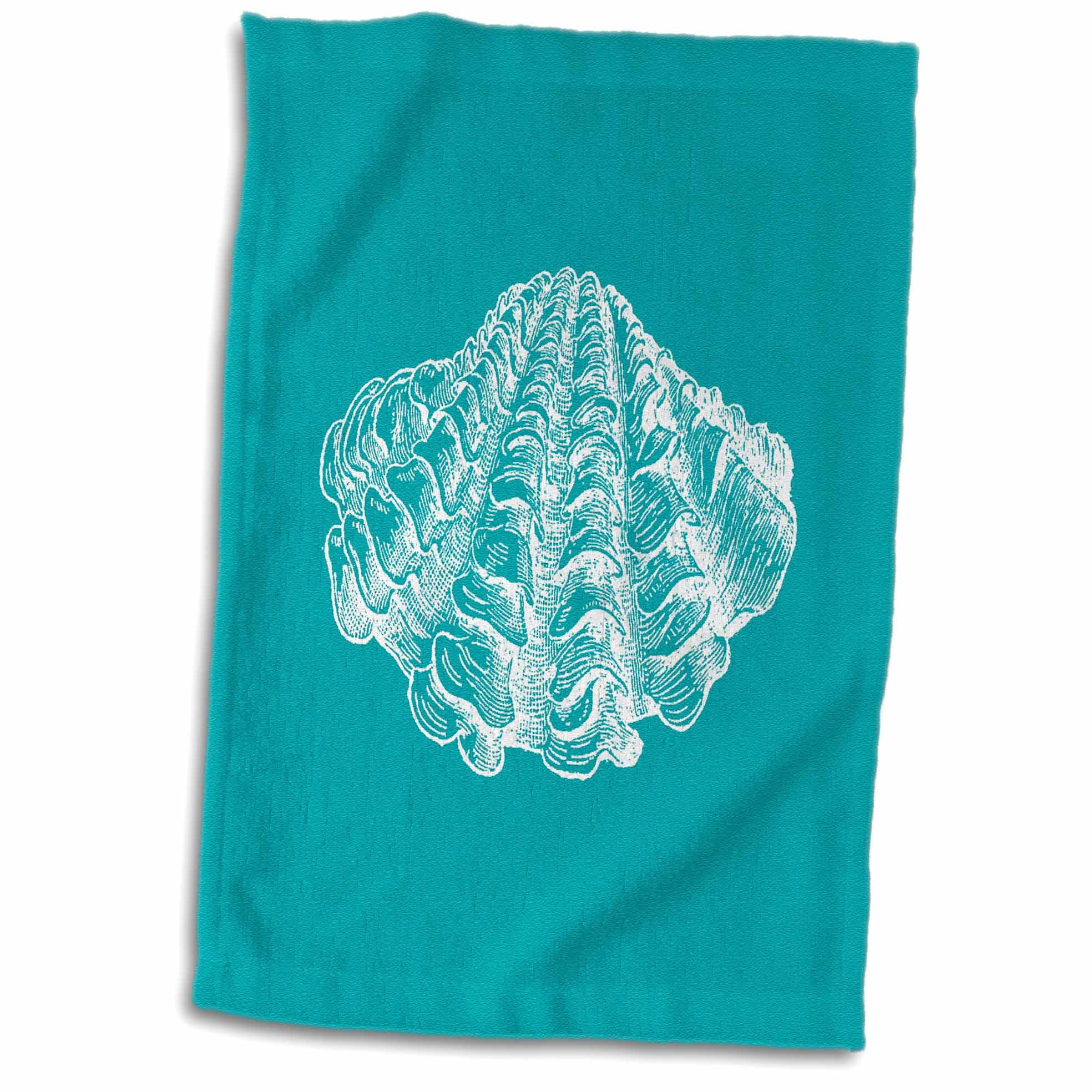 3dRose Teal Blue seashell etching print Modern Sea shell clam beach ...