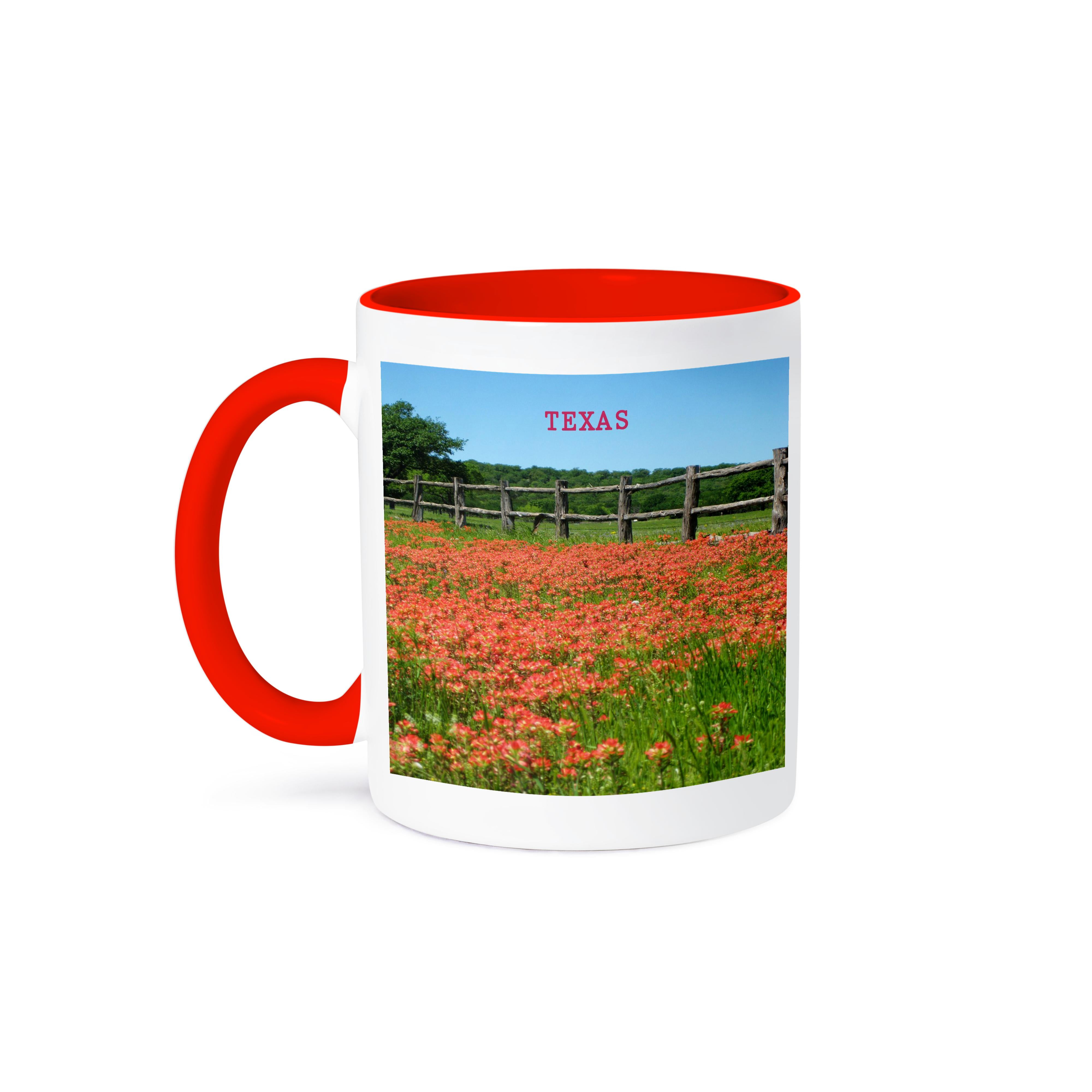 Texas Paintbrush Flowers, 11oz Two-Tone Red Mug - Walmart.com