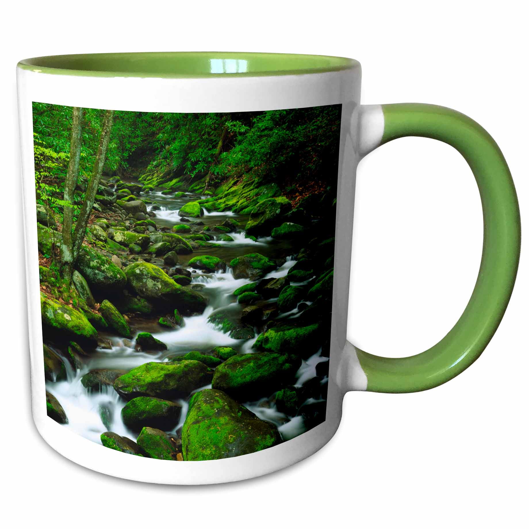 3drose, the Great Smoky Mountains. Moss Covered Stream in Tennessee ...