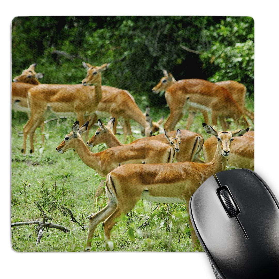 3dRose, The shores of Lake Nakuru in Kenya, Mouse Pad - Walmart ...