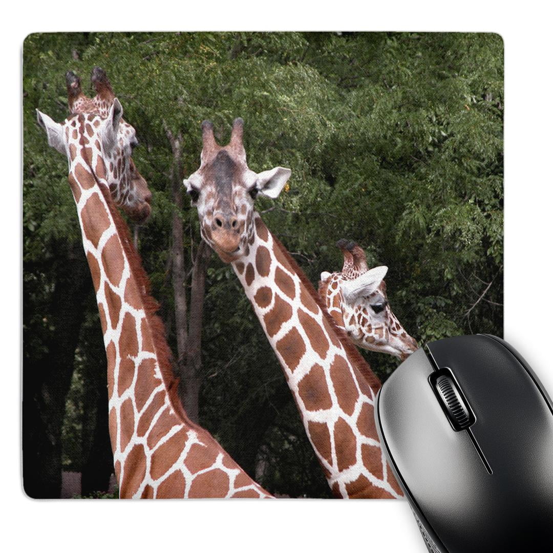 3dRose, Three Giraffes, Mouse Pad - Walmart Business Supplies