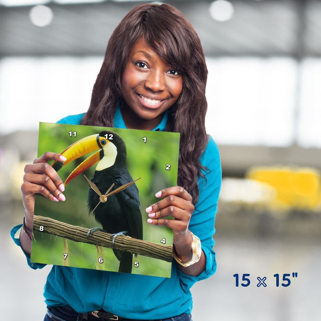 3dRose, Toco Toucan, Tropical bird, Iguacu Falls NP, Brazil - SA02 ...