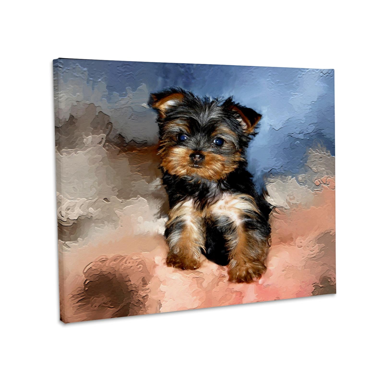 3dRose, Toy Yorkie Puppy, Museum Grade Canvas Wrap 20x16 - Walmart.com