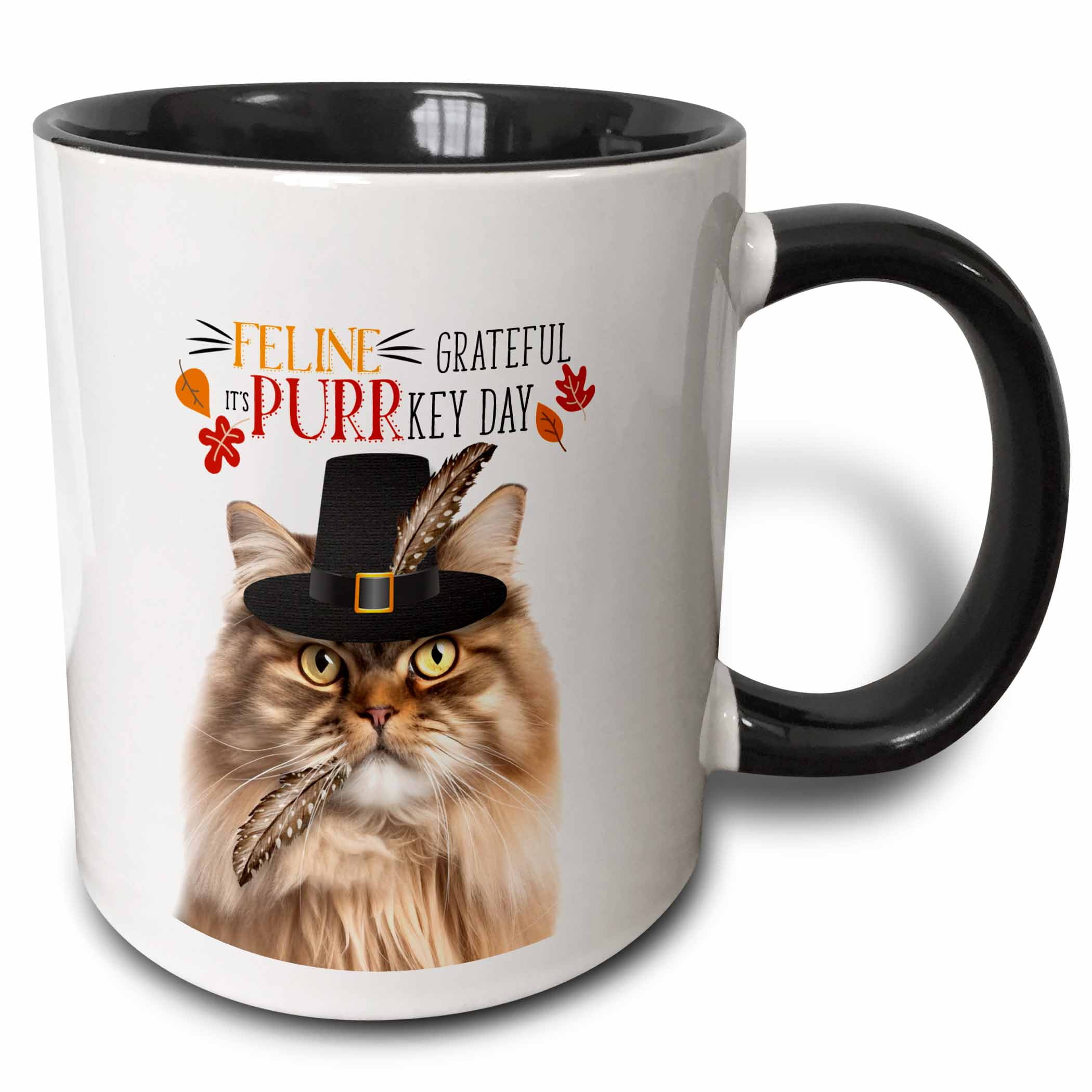 3drose, Tri Colored Persian Cat Is Feline Grateful for Thanksgiving ...