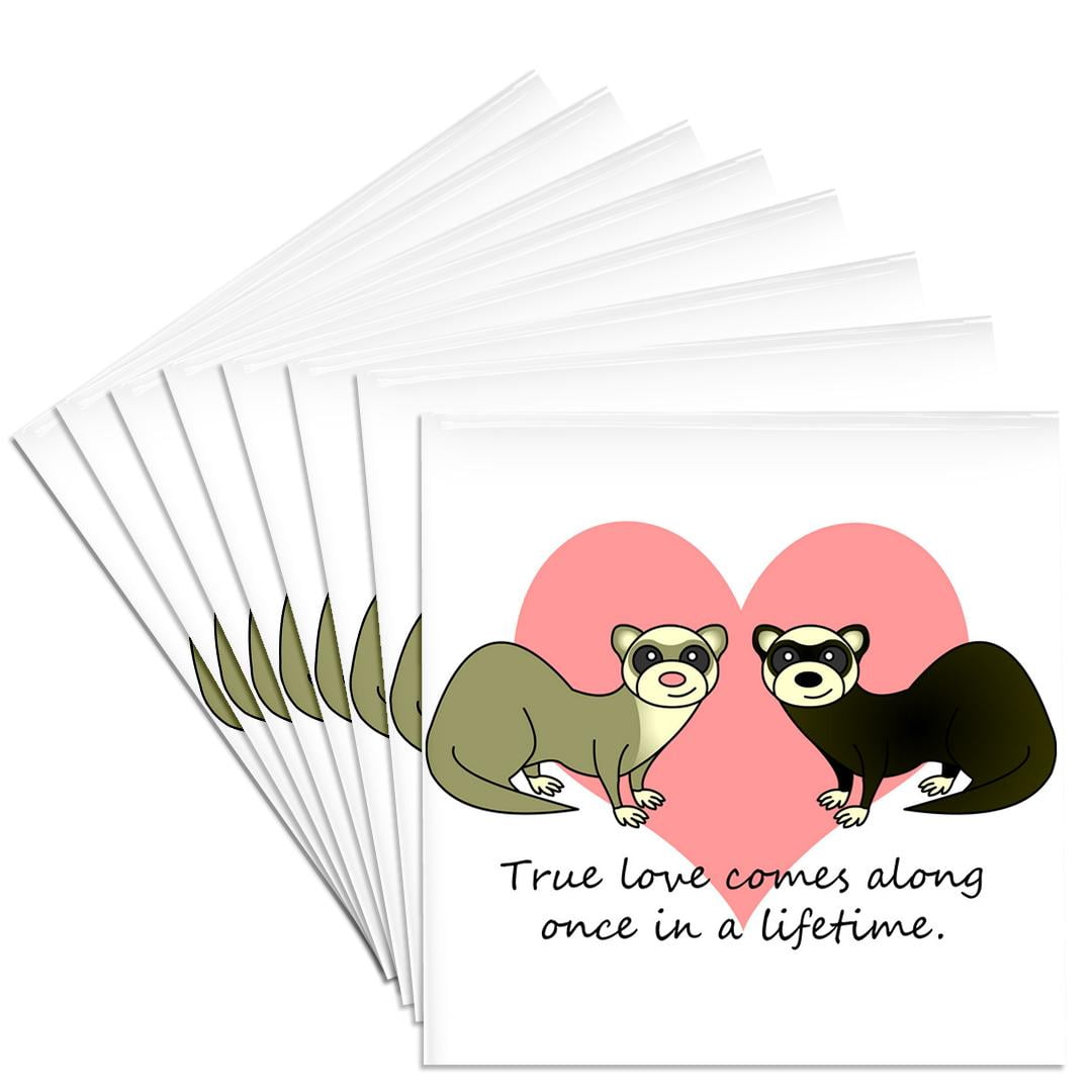 3dRose, True Love Comes Along Once in a Lifetime Cute Ferret Love ...