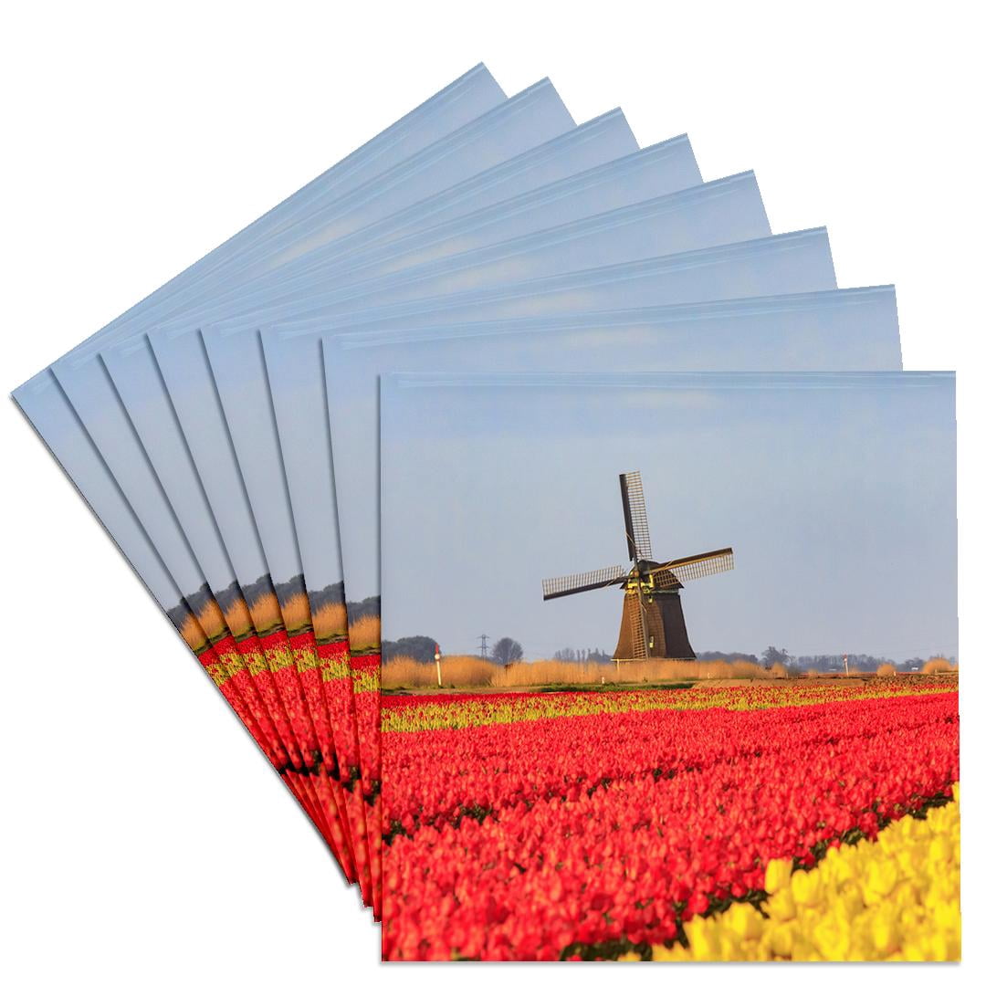 3drose, Tulip Fields and Windmill. Het Zand, North Holland, Netherlands ...