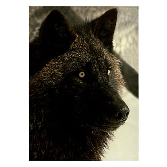 Wolf Towels for Home Beach and Travel Use with Quick Dry Features