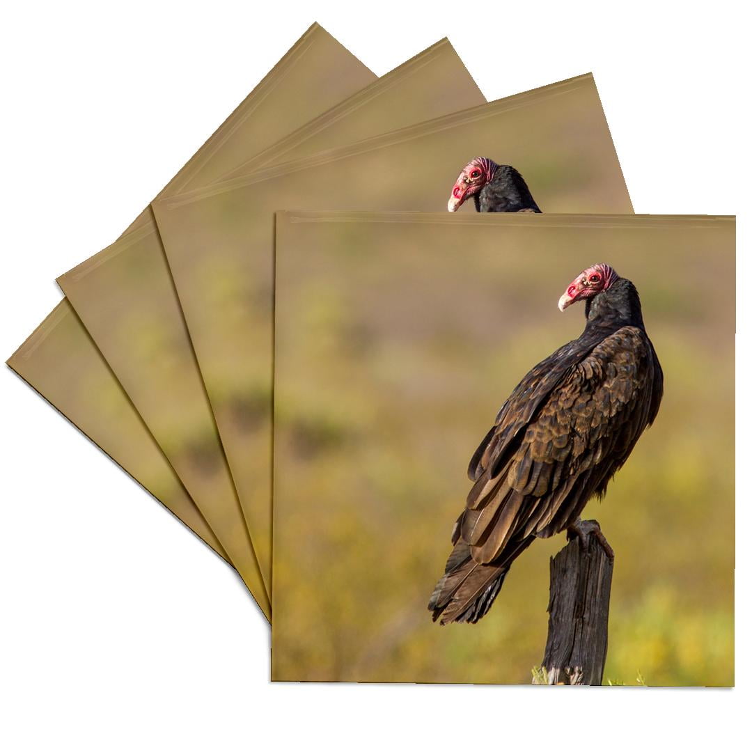 3dRose, Turkey vulture in Big Bend National Park, Texas., Set of 4 ...