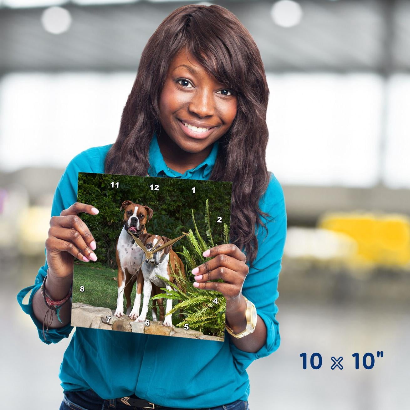 3dRose, Two Boxer dogs - US05 ZMU0055 - Zandria Muench Beraldo, 10x10 ...