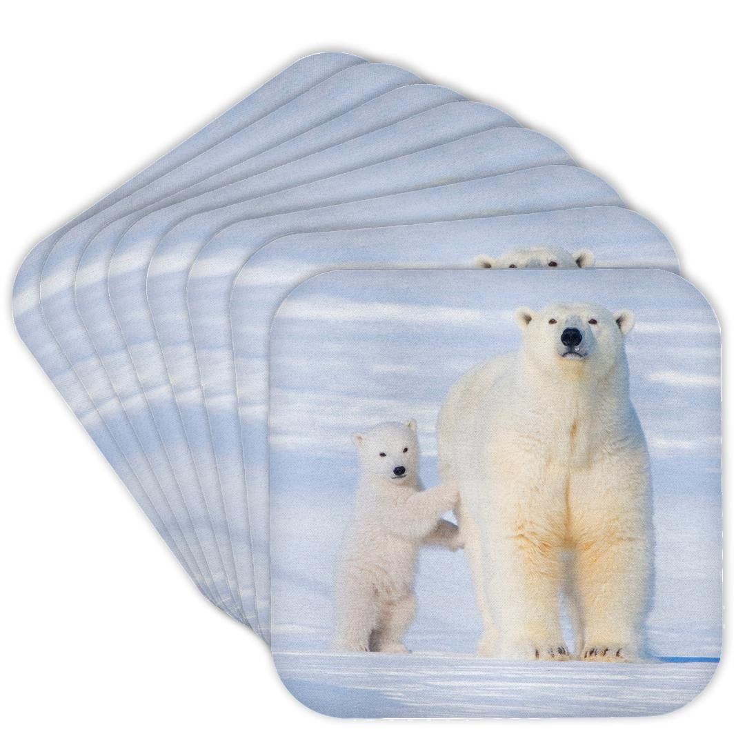 3drose, Usa, Alaska, Arctic Nwr. Polar Bear Sow with Her Cub Outside ...