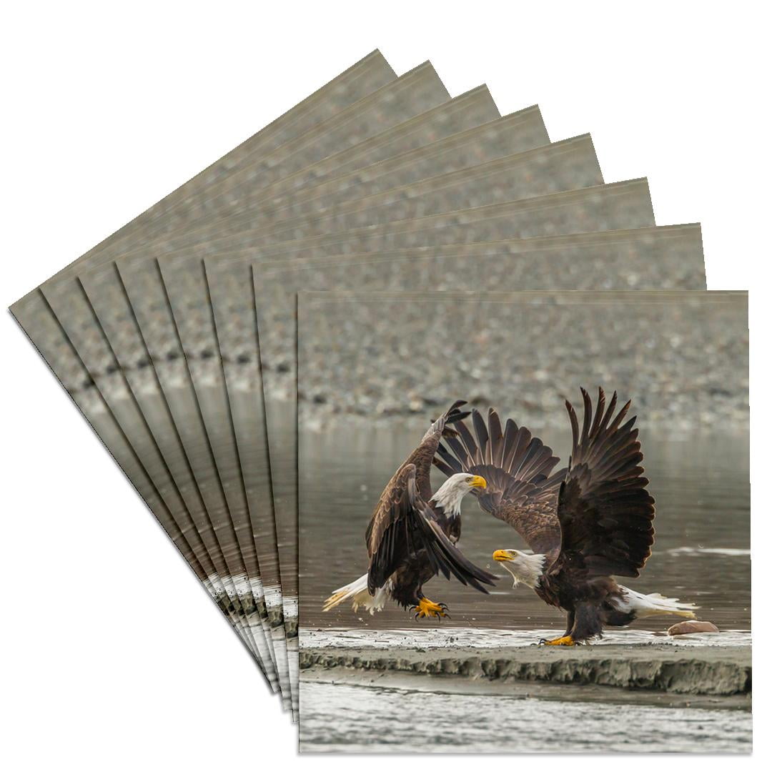 3drose, Usa, Alaska, Chilkat Bald Eagle Preserve. Bald Eagles Fighting ...