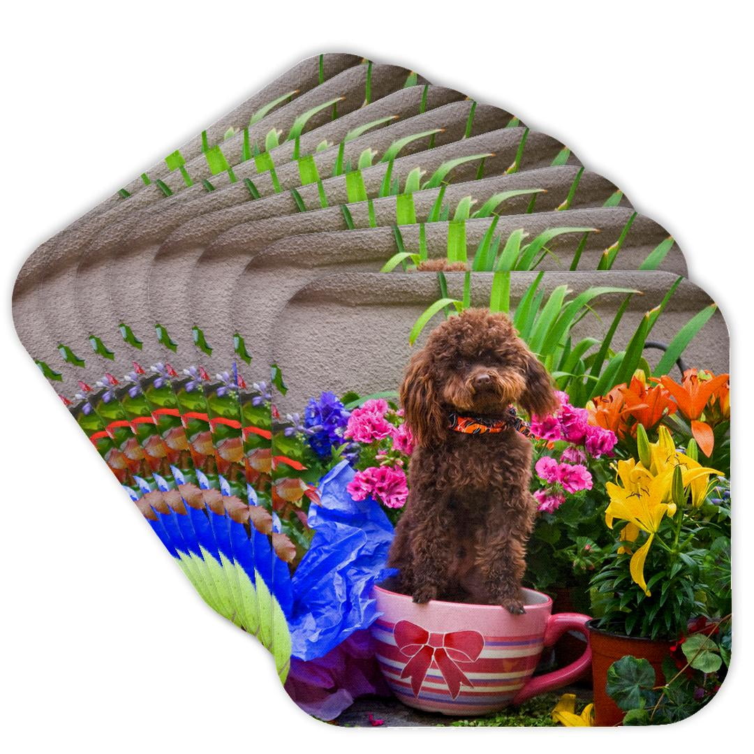 3drose, Usa, California. Poodle Standing in a Coffee Cup with Flowers ...