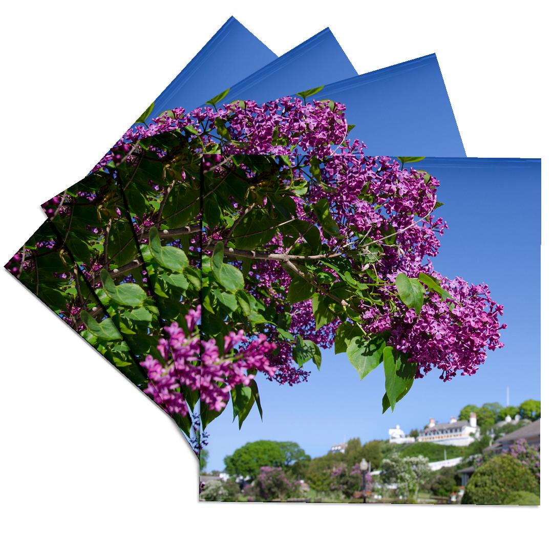 3dRose, USA, Michigan, Mackinac Island. Lilac tree with Fort Mackinac ...