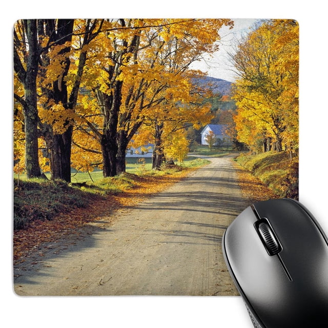 3dRose, USA, Vermont, Ryegate Corner. A tree-lined road - US46 RER0008 ...