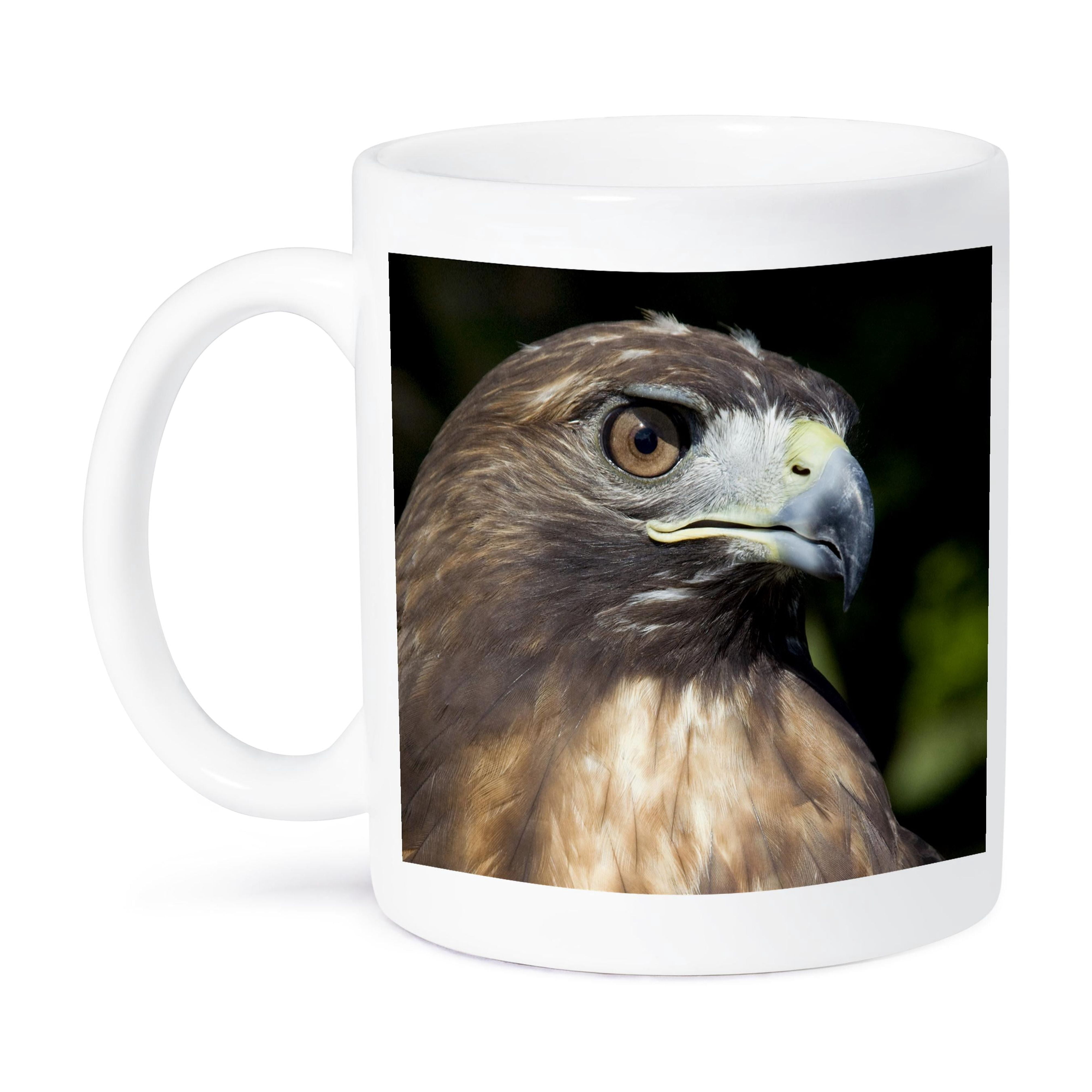 3dRose, USVI, St. Croix, Red-tailed hawk, bird-CA37 AJN0035 - Alison ...
