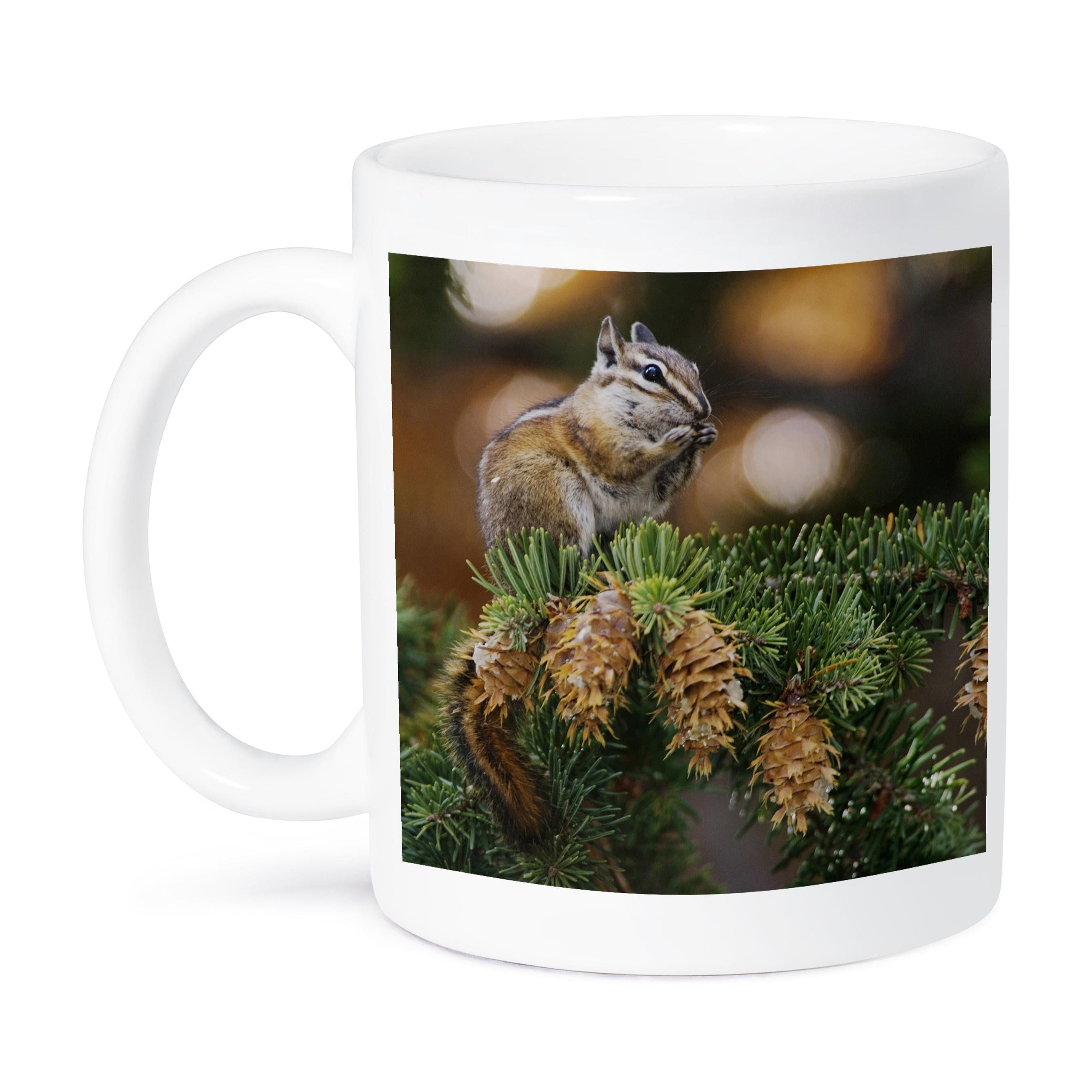 3dRose, Uinta Chipmunk wildlife, Rocky Mountain, Colorado - NA02 ...