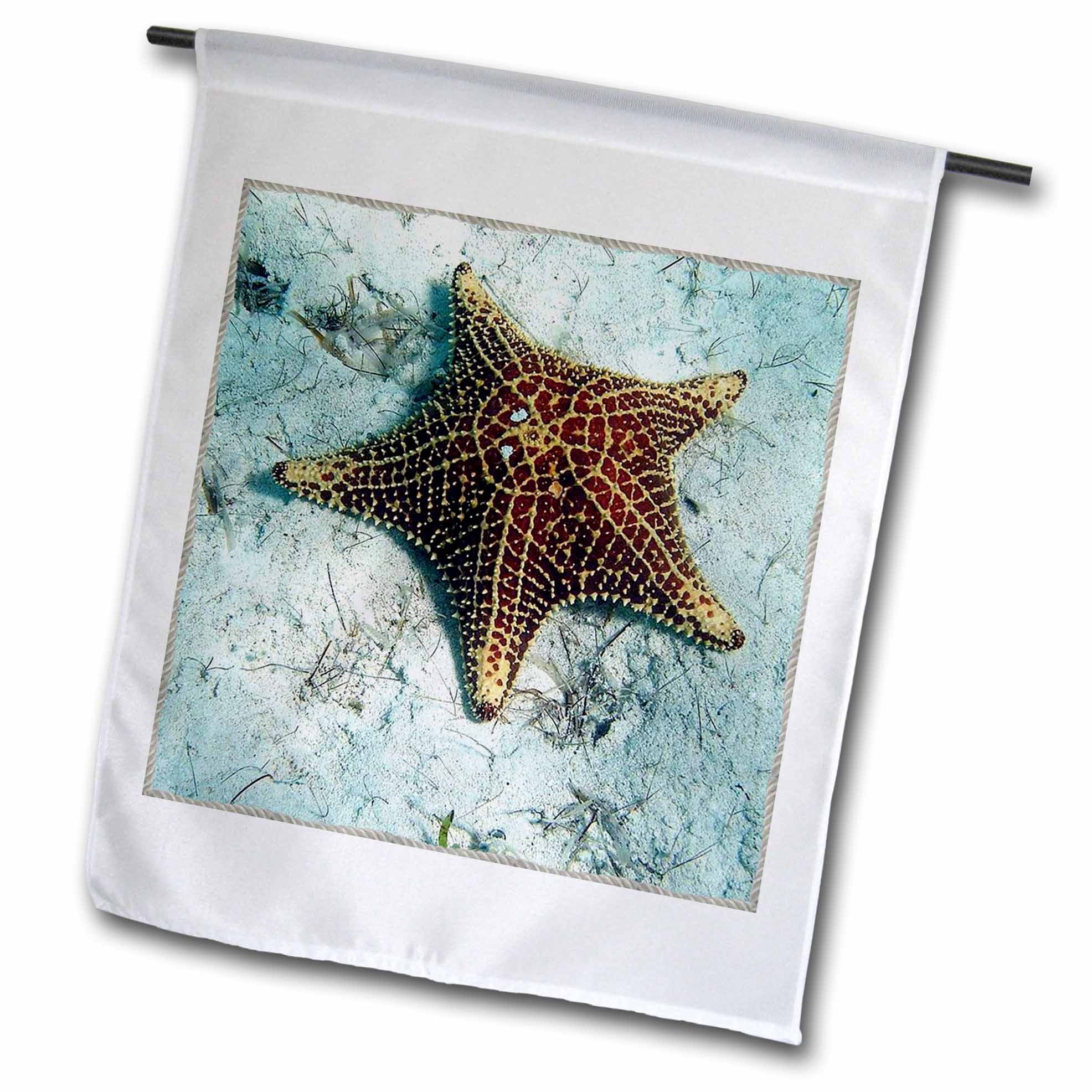3dRose, Underwater Starfish With Nautical Rope Frame, 12 x 18 inch ...