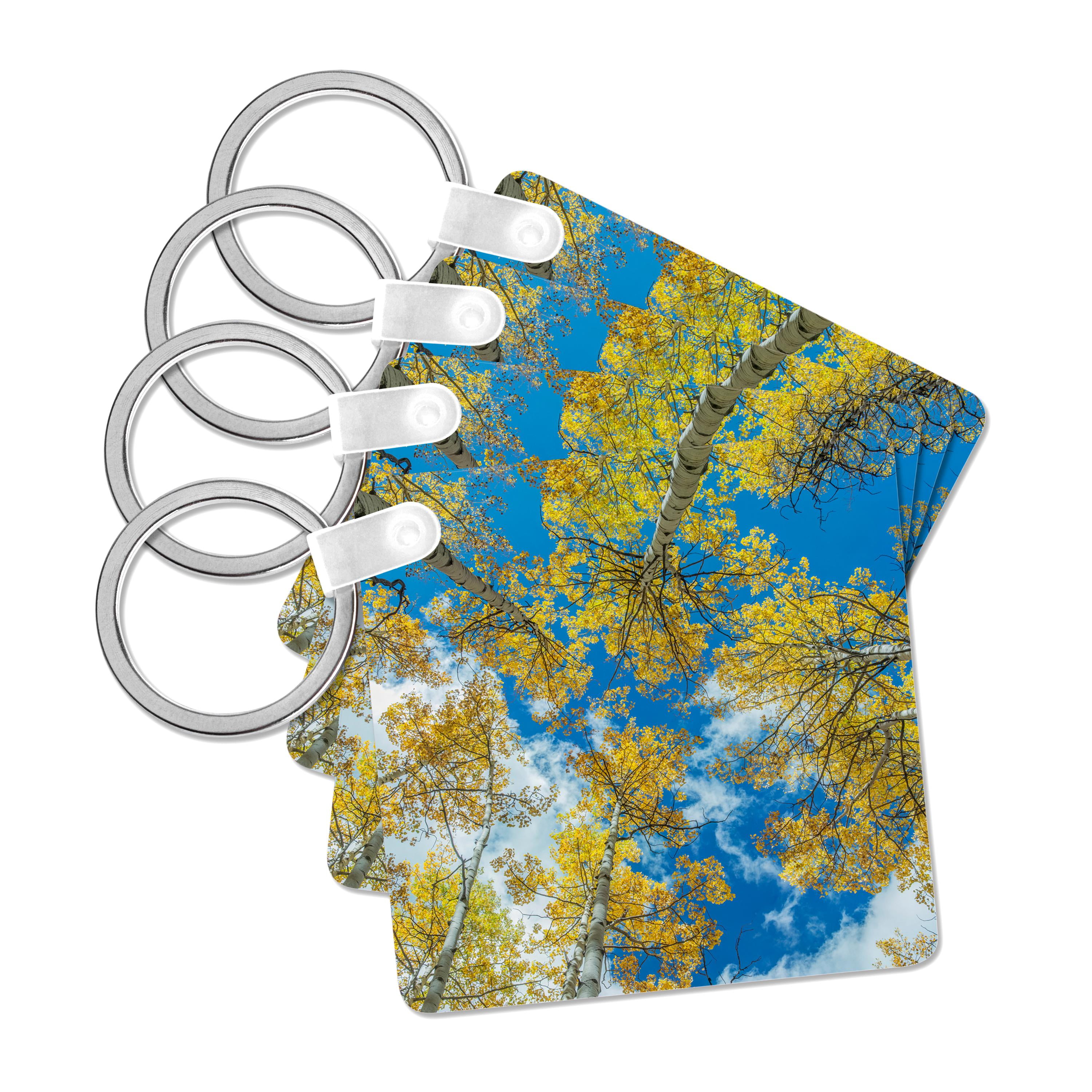 3dRose, Usa, Colorado, Gunnison National Forest, Aspen Grove with ...