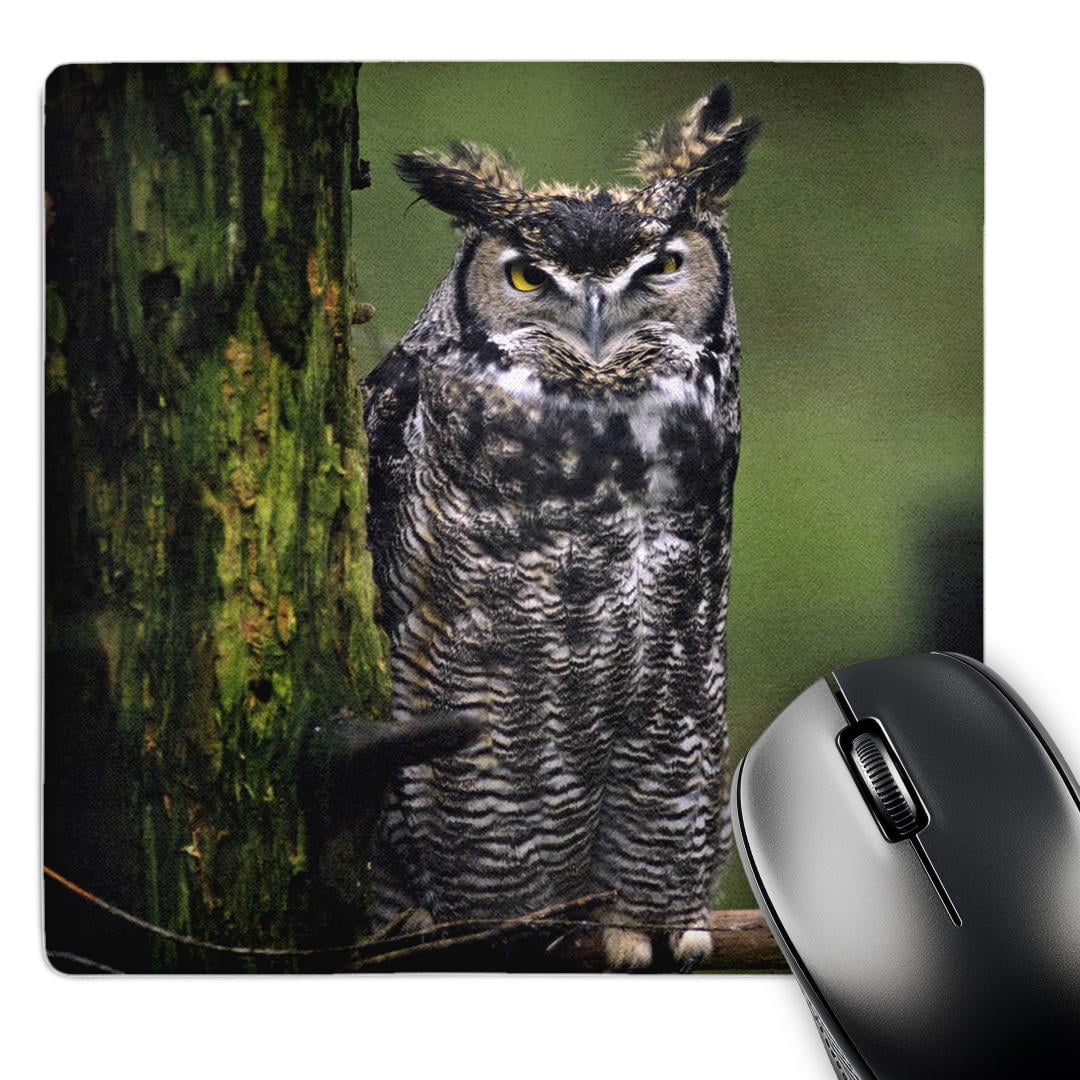 3dRose, Washington, Northwest Trek, Great Horned Owl - US48 CSL0170 ...