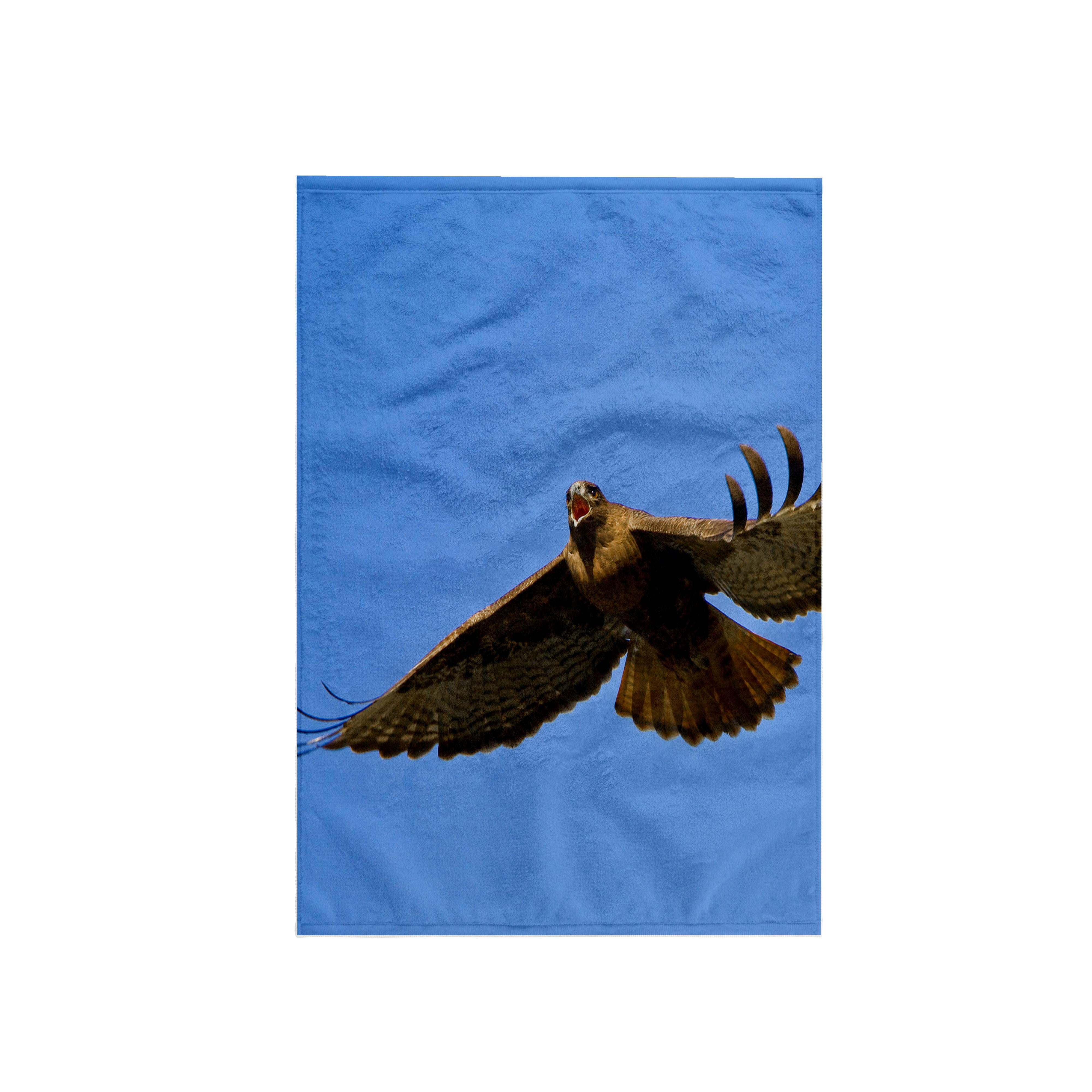 3dRose, Washington State, Red-tailed Hawk, bird - US48 GLU0042 - Gary ...