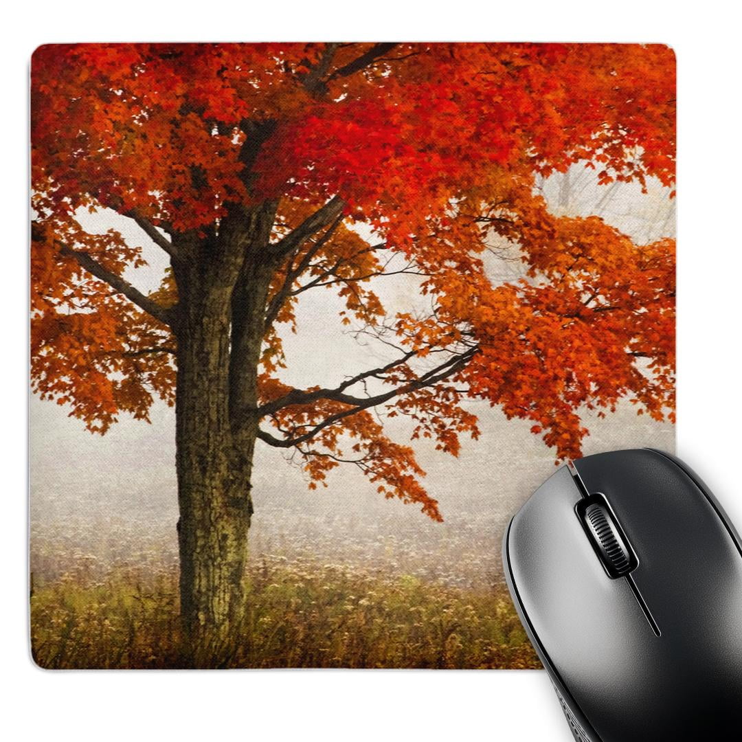 3dRose, West Virginia, Davis. Red maple in autumn color - US49 BJA0001 ...