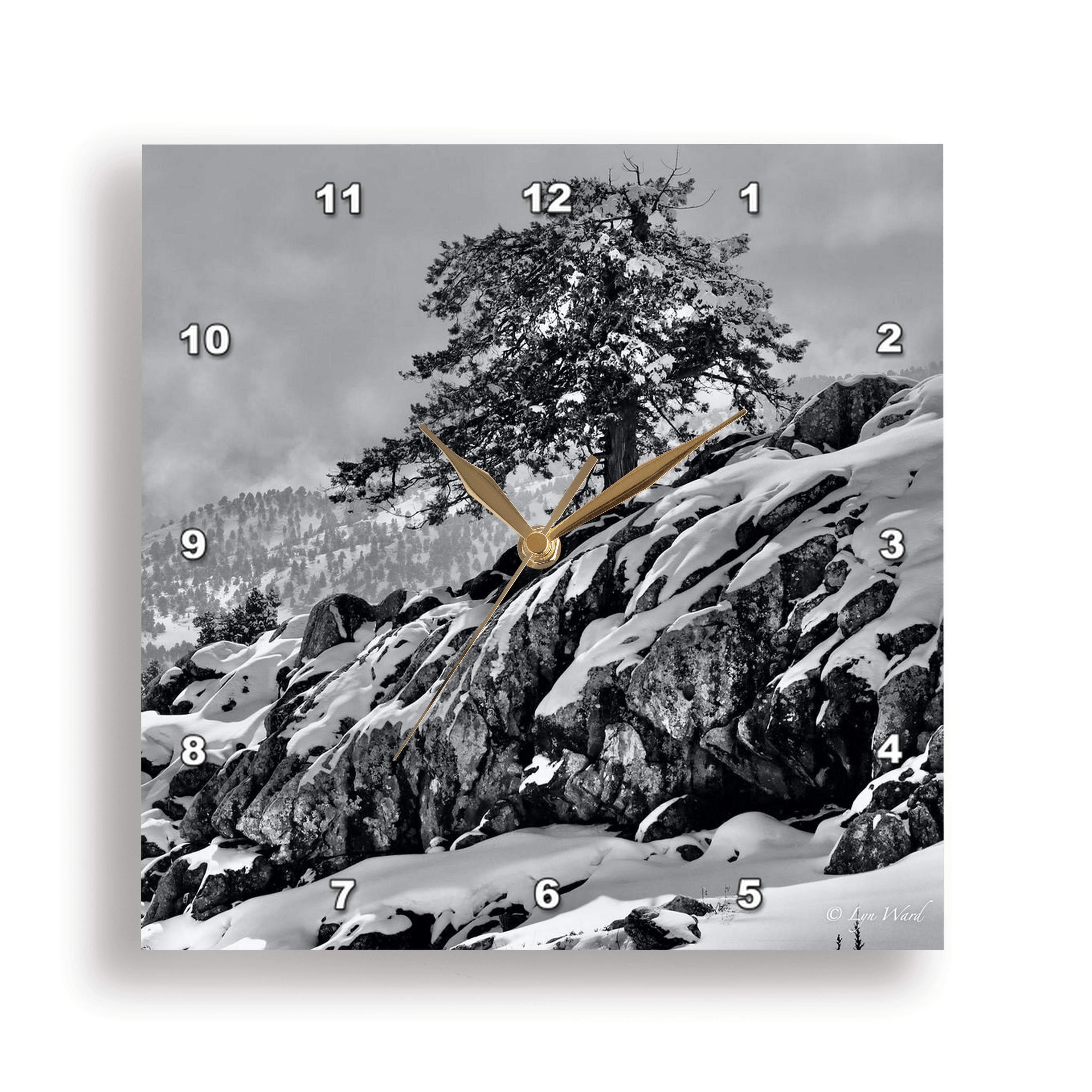 3dRose, Winter Season Monochrome Photograph Of Pine Trees And Snow ...
