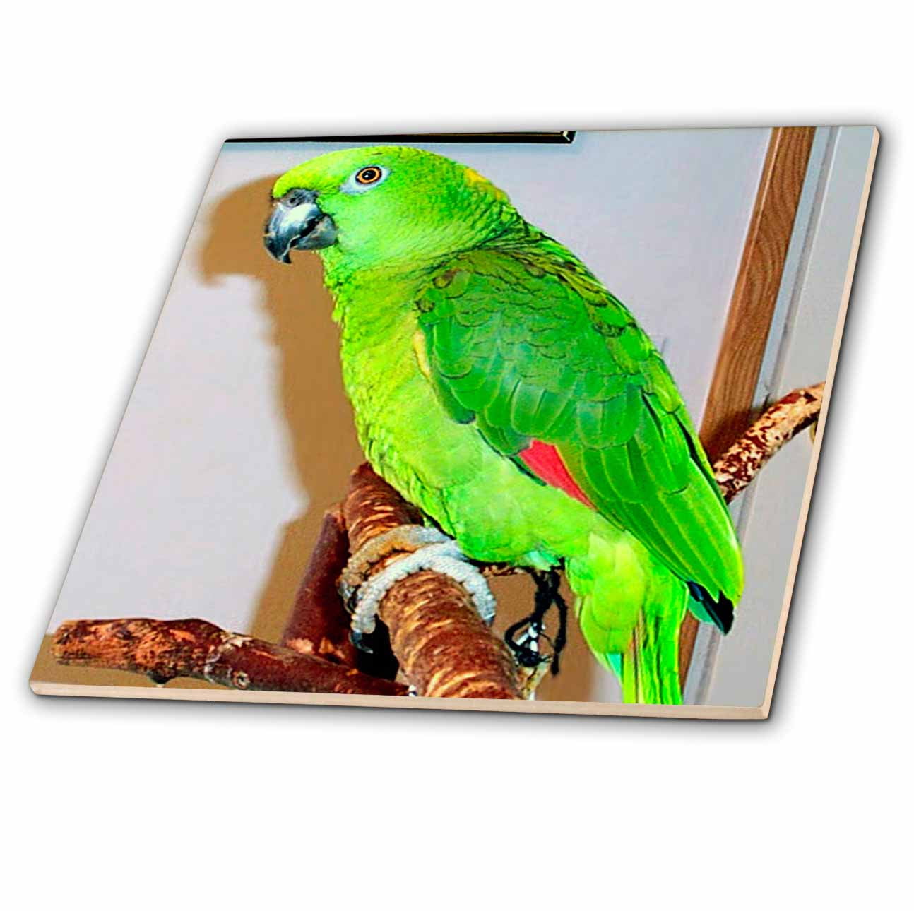 3dRose, Yellow Nape Parrot, 4 Inch Ceramic Tile - Walmart.com