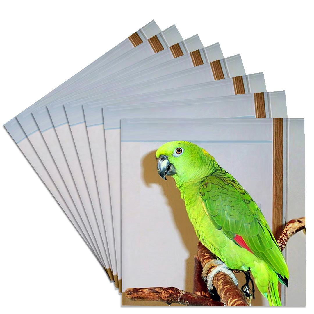 3drose, Yellow Nape Parrot, Set of 8 Ceramic Tile Coasters - Walmart.com