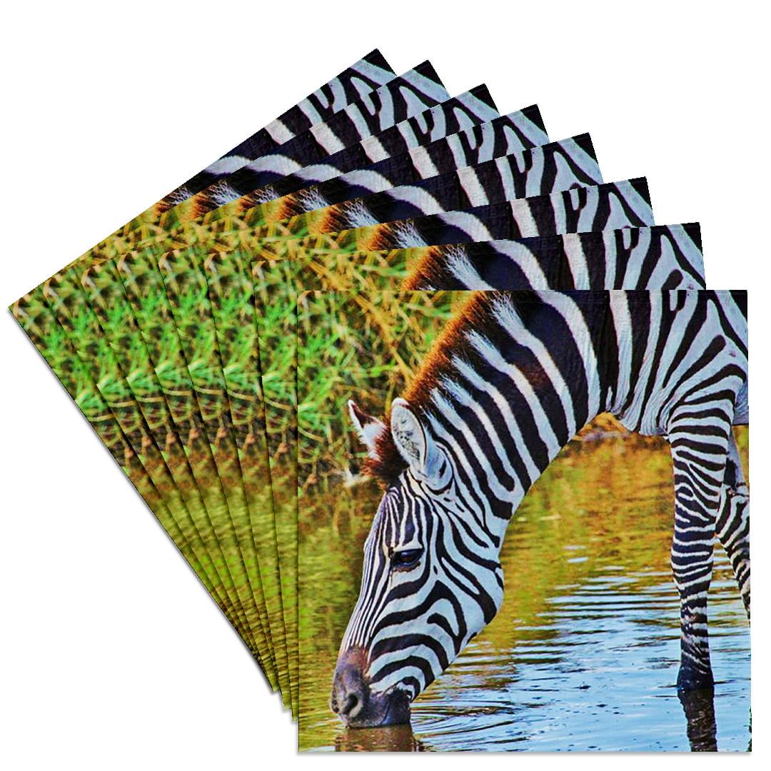 3dRose, Zebra. African Wildlife. Zoo. Cool Image., Set of 8 Ceramic ...