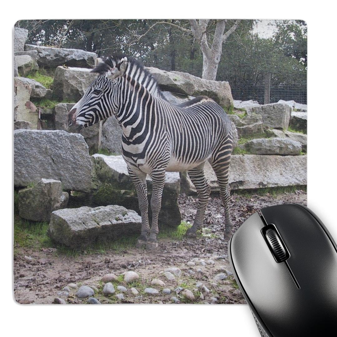 3dRose, Zebra, Mouse Pad - Walmart.com