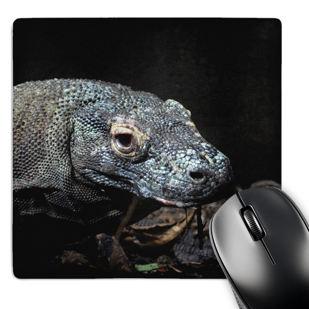3dRose, komodo dragon lizard head, Mouse Pad - Walmart.com