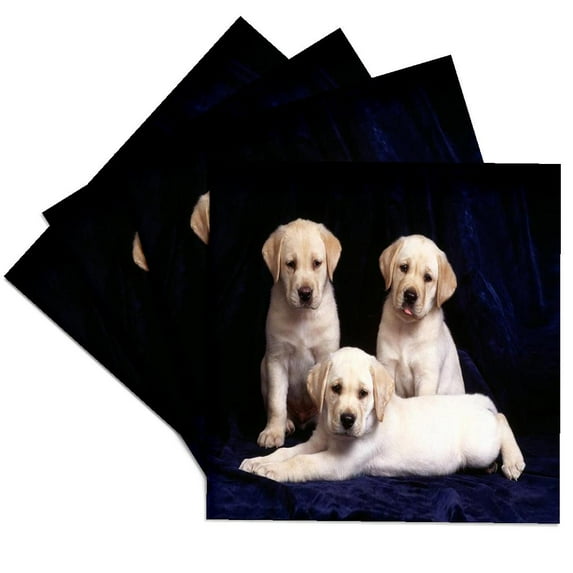 3drose, 3 Yellow Labs Portrait, Set of 4 Ceramic Tile Coasters ...