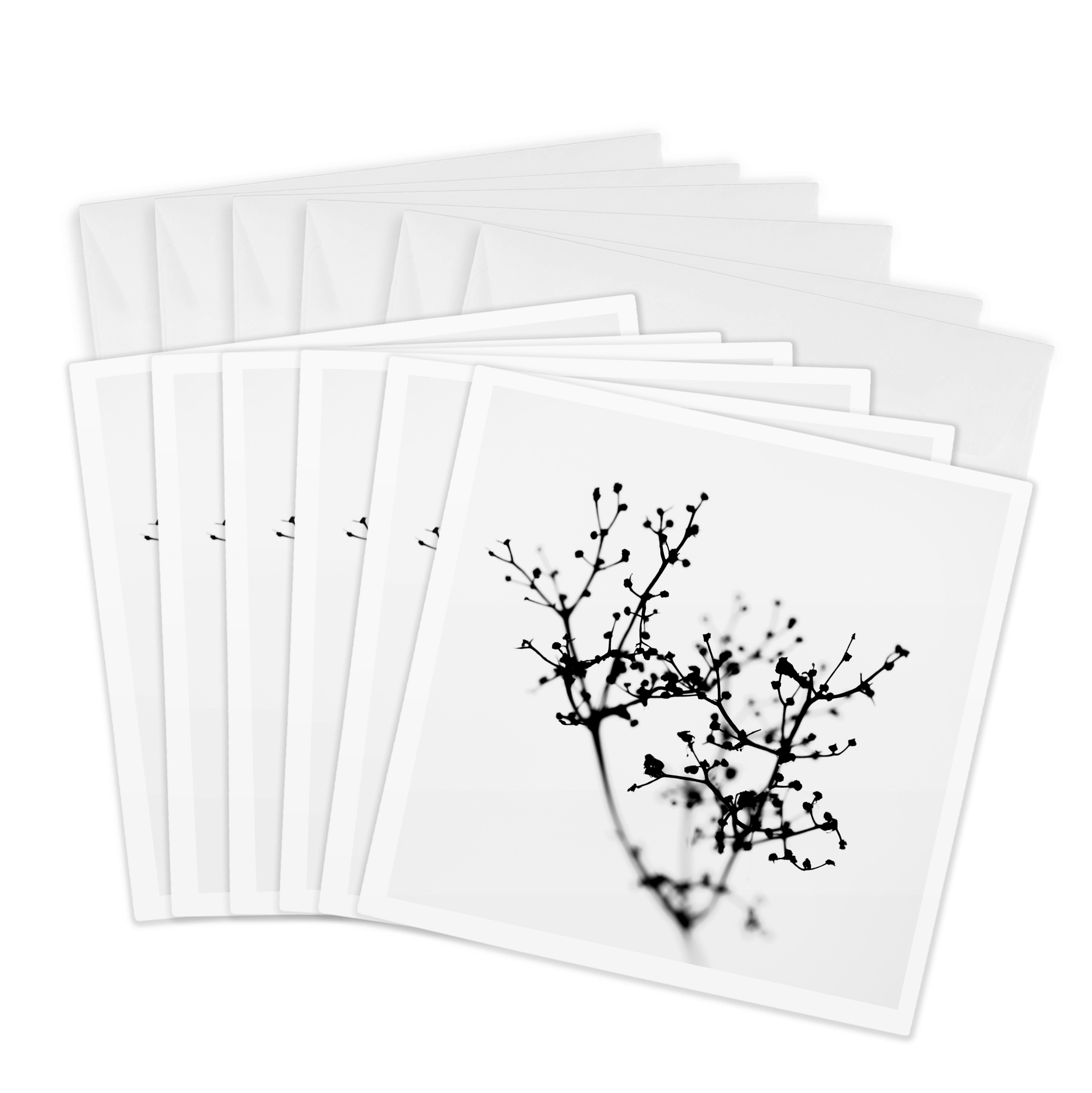 3drose, Abstract of Nature. Black Plant White Background, 6 Greeting ...