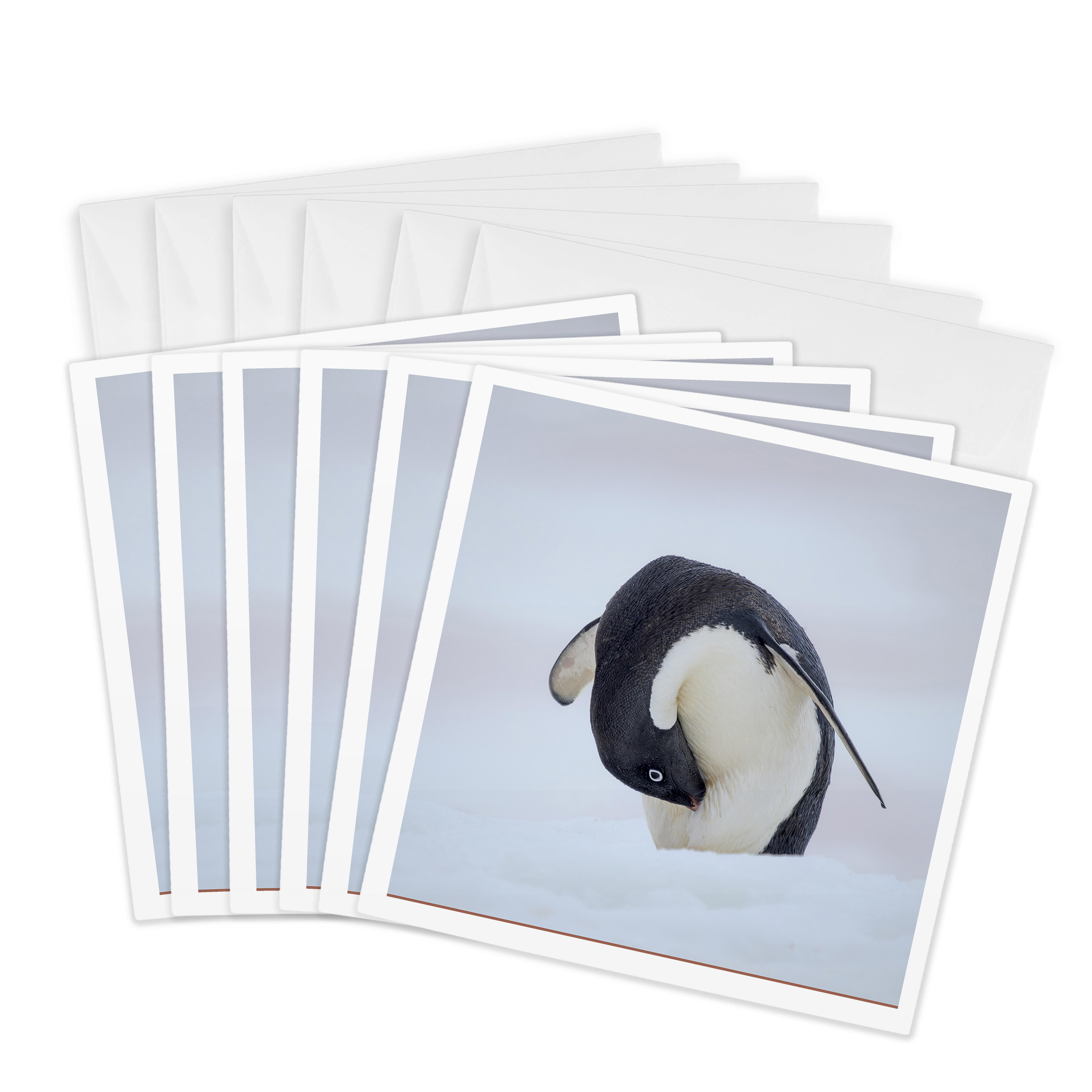 3drose, Adelie Penguin, Colored Snow Due to Algae in the Ice ...