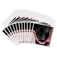 3drose, Adorable Shiatsu Pug Pet Dog in Vibrant Pink and Green Sweater ...