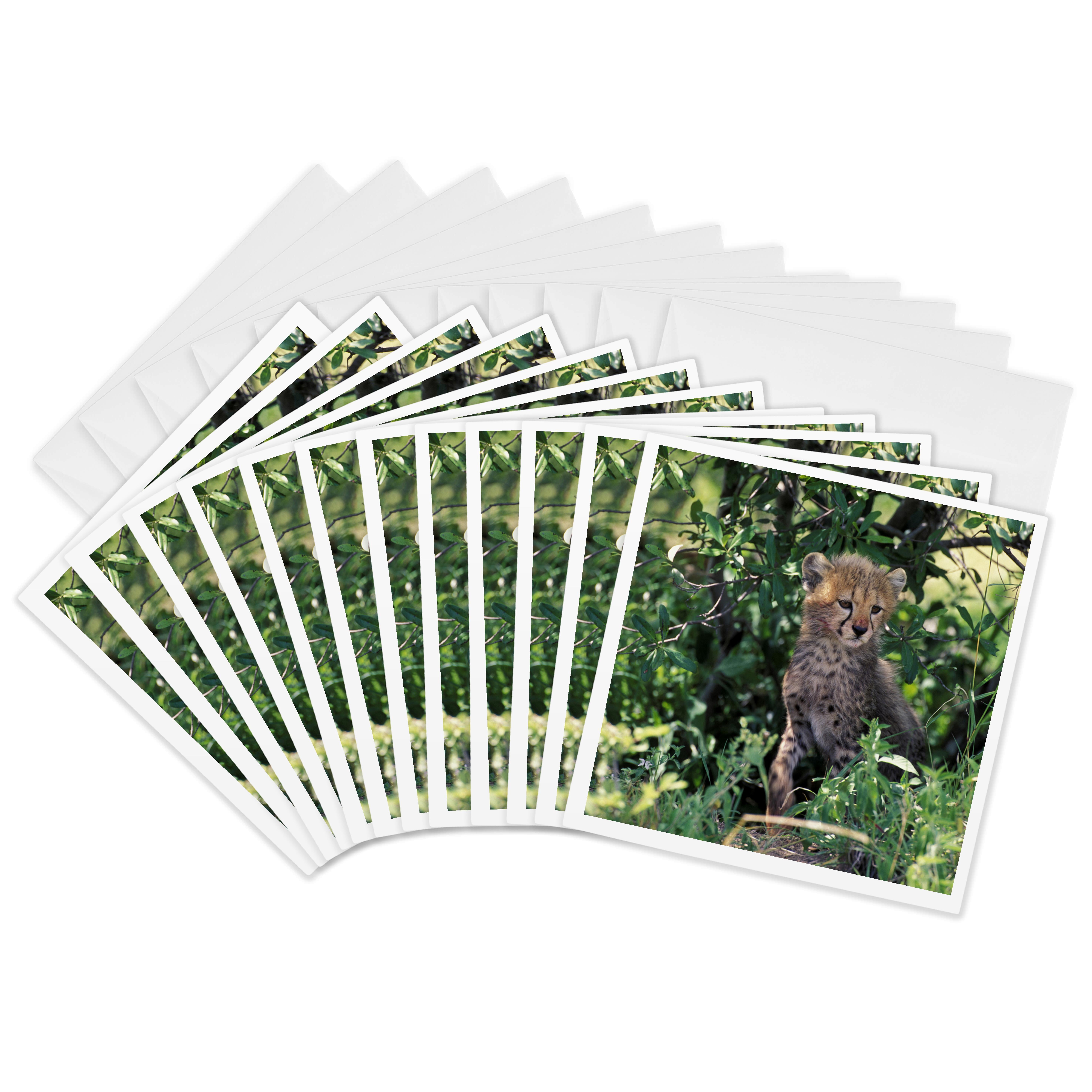 3drose, Africa, Kenya, Masai Mara Game Reserve. Cheetah Cub-af42 ...