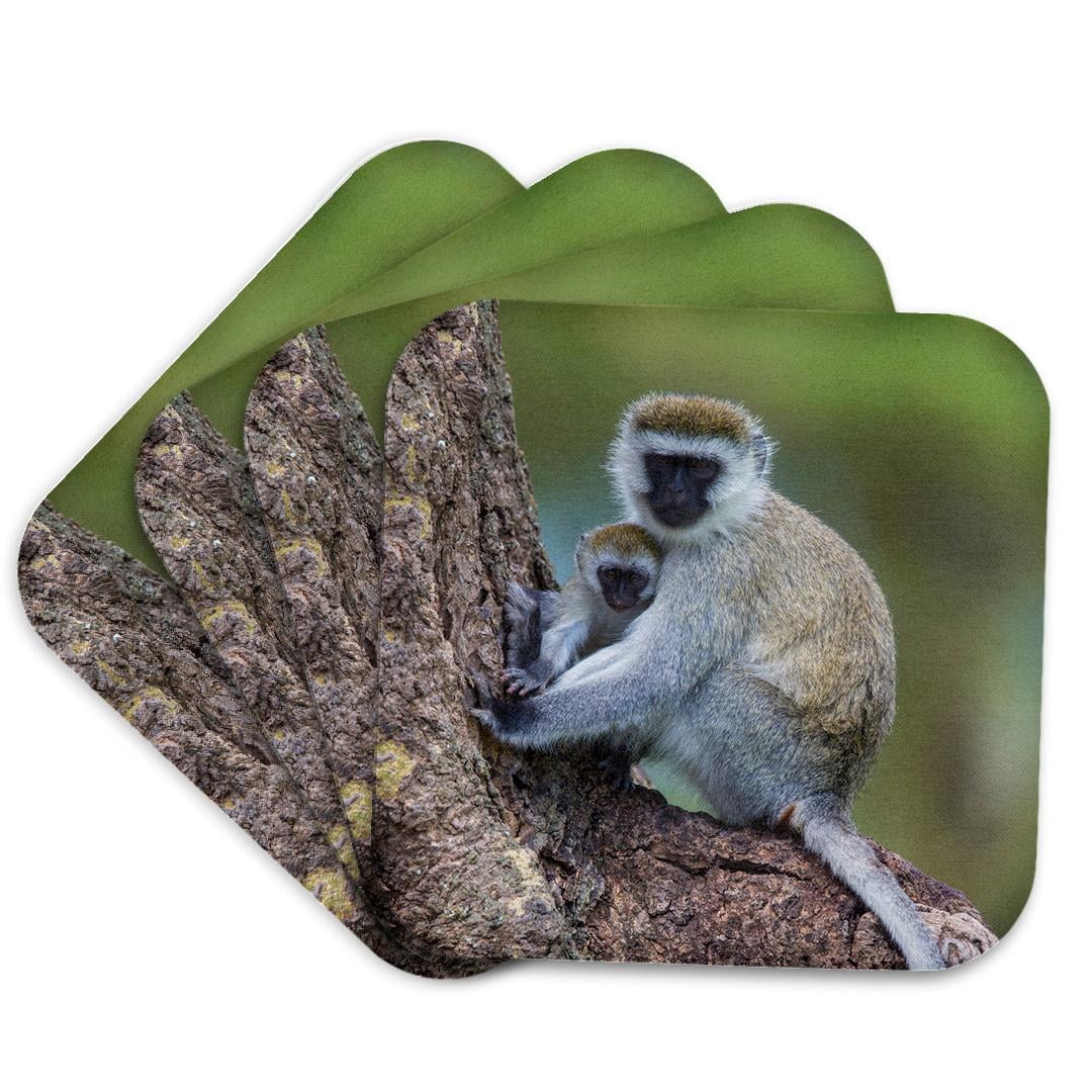 3drose, Africa. Tanzania, Ngorongoro Crater. Vervet Monkey Female and ...
