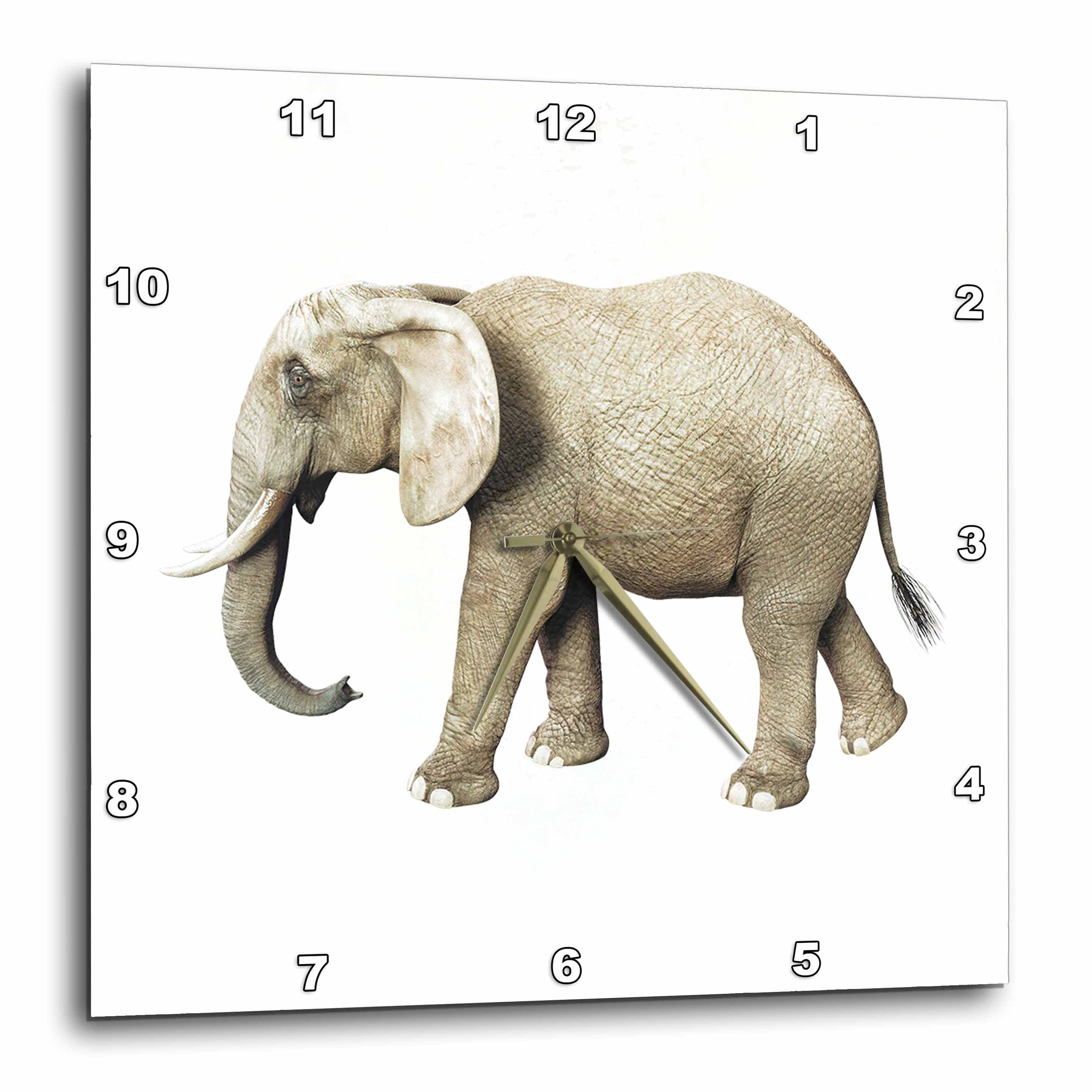 3drose, African Elephant Walking to the Right, 13x13 Wall Clock ...