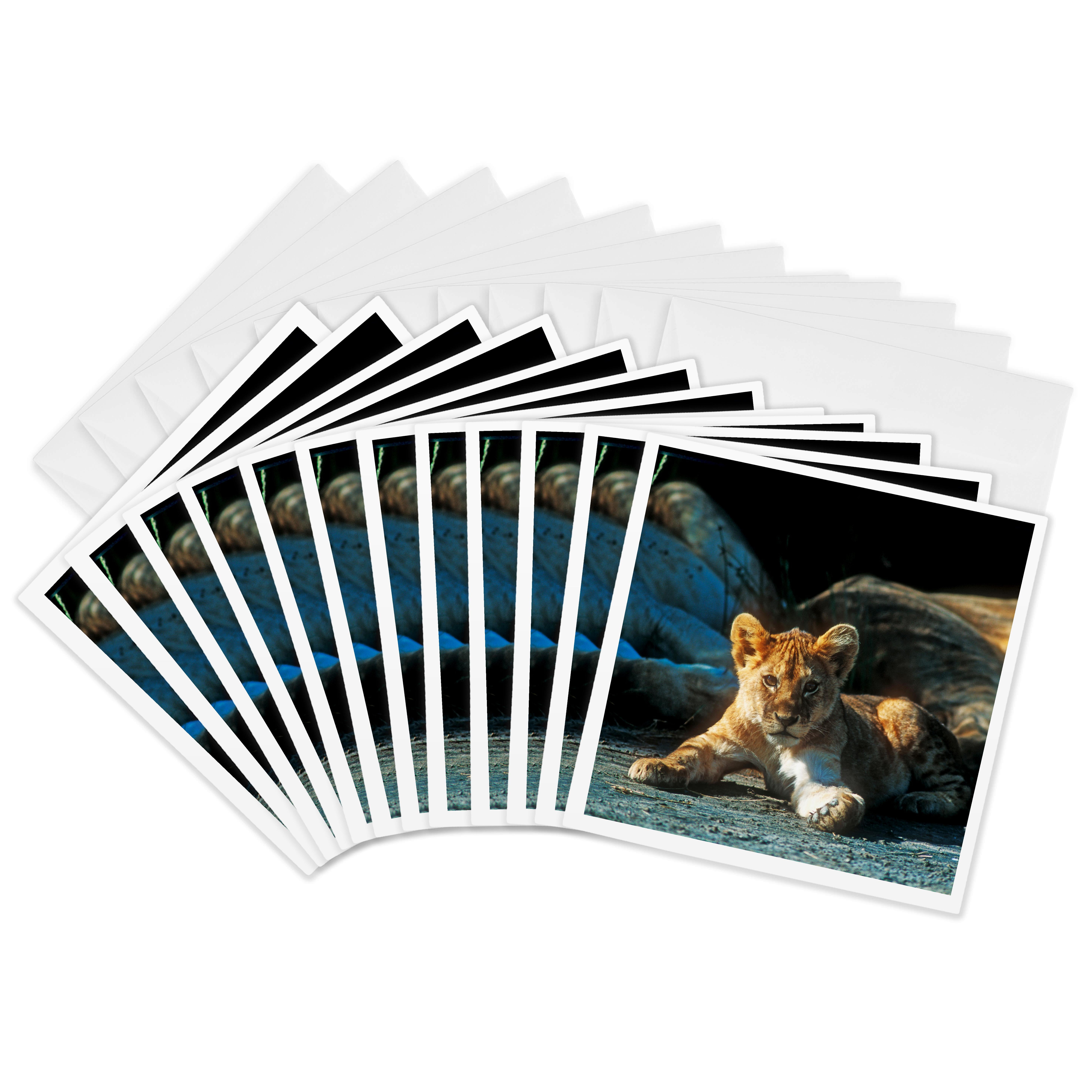 3drose, African Lion, Panthera Leo, Cub Resting with Its Family, 12 ...