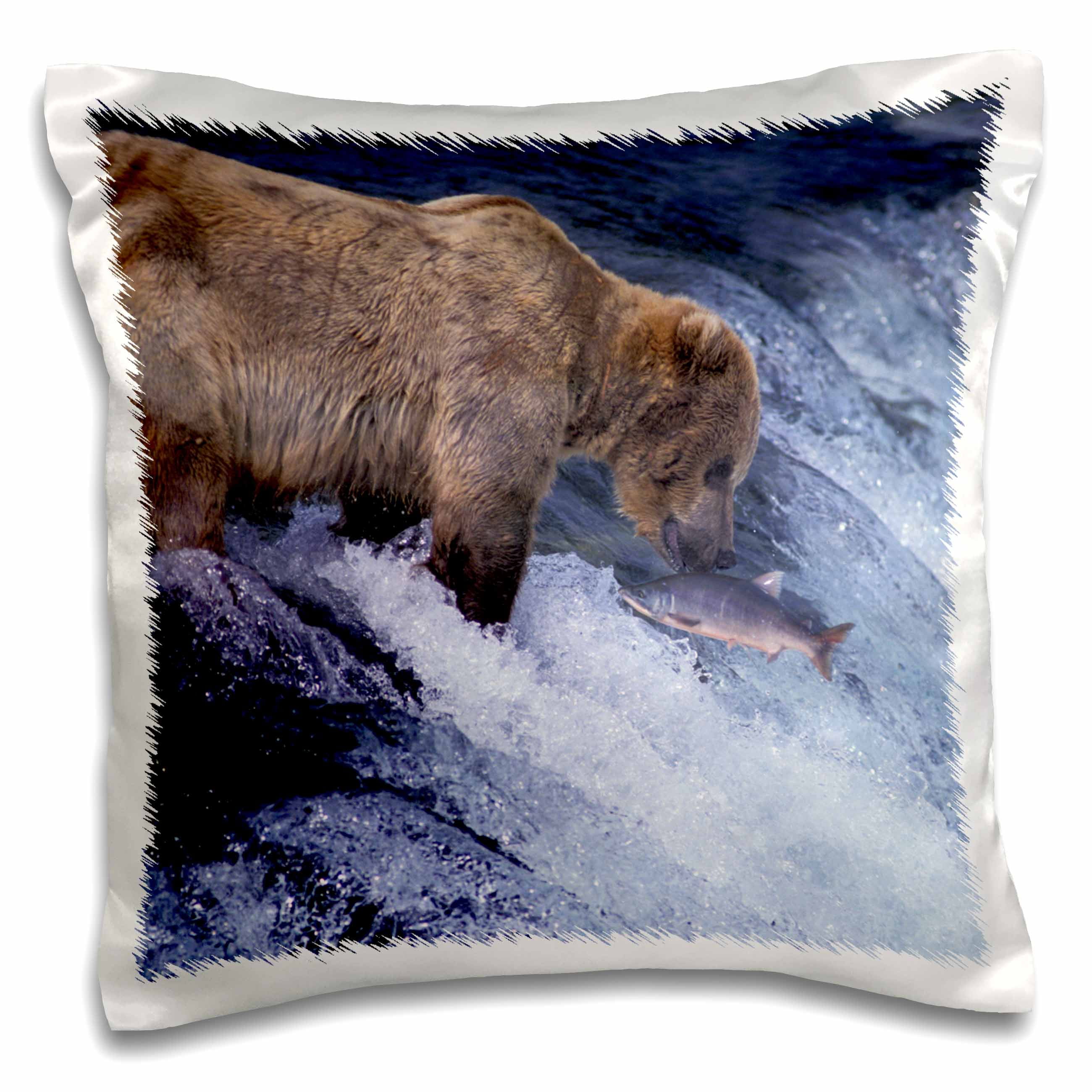 3drose, Alaska, Katmai Np, Brooks Falls, Brown Bear - Us02 Pso0550 ...