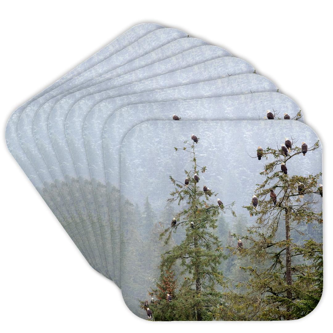 3drose, Alaska. Numerous Bald Eagles Perch in Trees During a Rainy ...