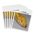 3drose, Albino Boa Constrictor, 6 Greeting Cards with Envelopes ...