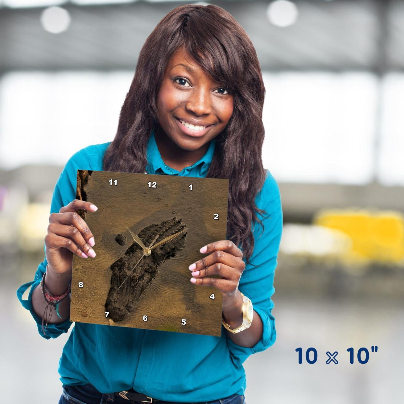 3drose, Alligator Chilling in the Warm Fl Water, 15x15 Wall Clock ...