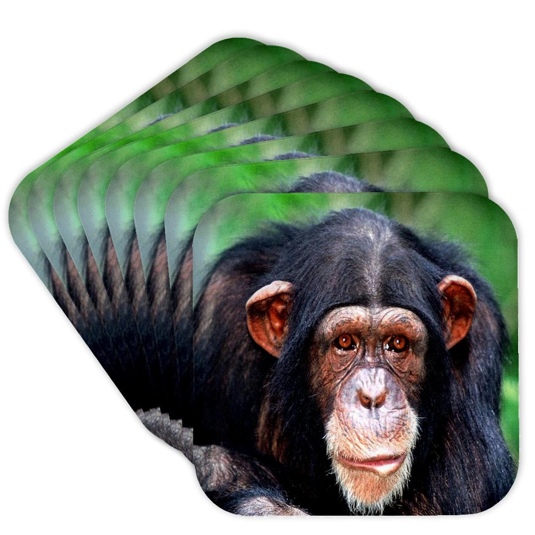 3drose, Almost Human Chimpanzee, Set of 8 Coasters - Cork - Walmart.com