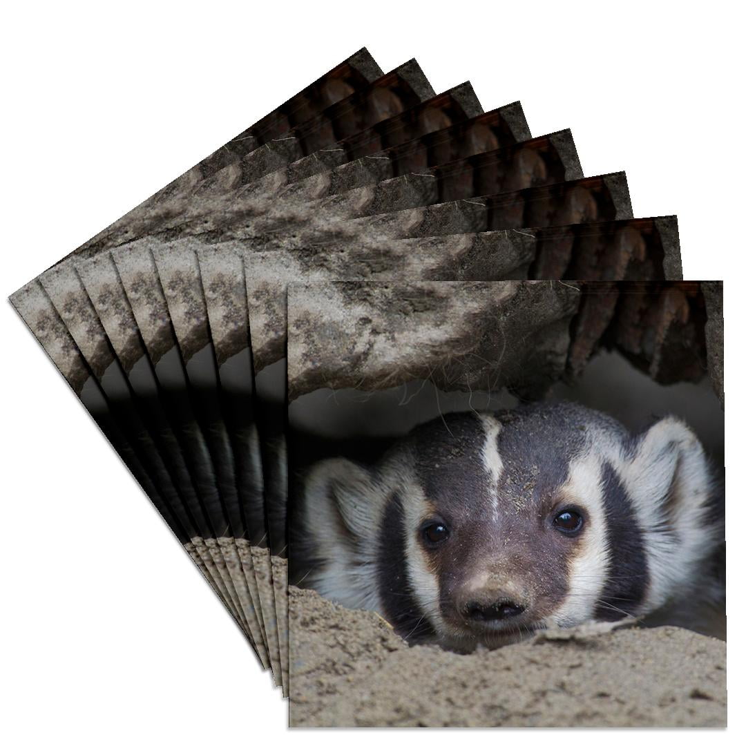 3drose, American Badger Peeking Out of Den, Set of 8 Ceramic Tile ...