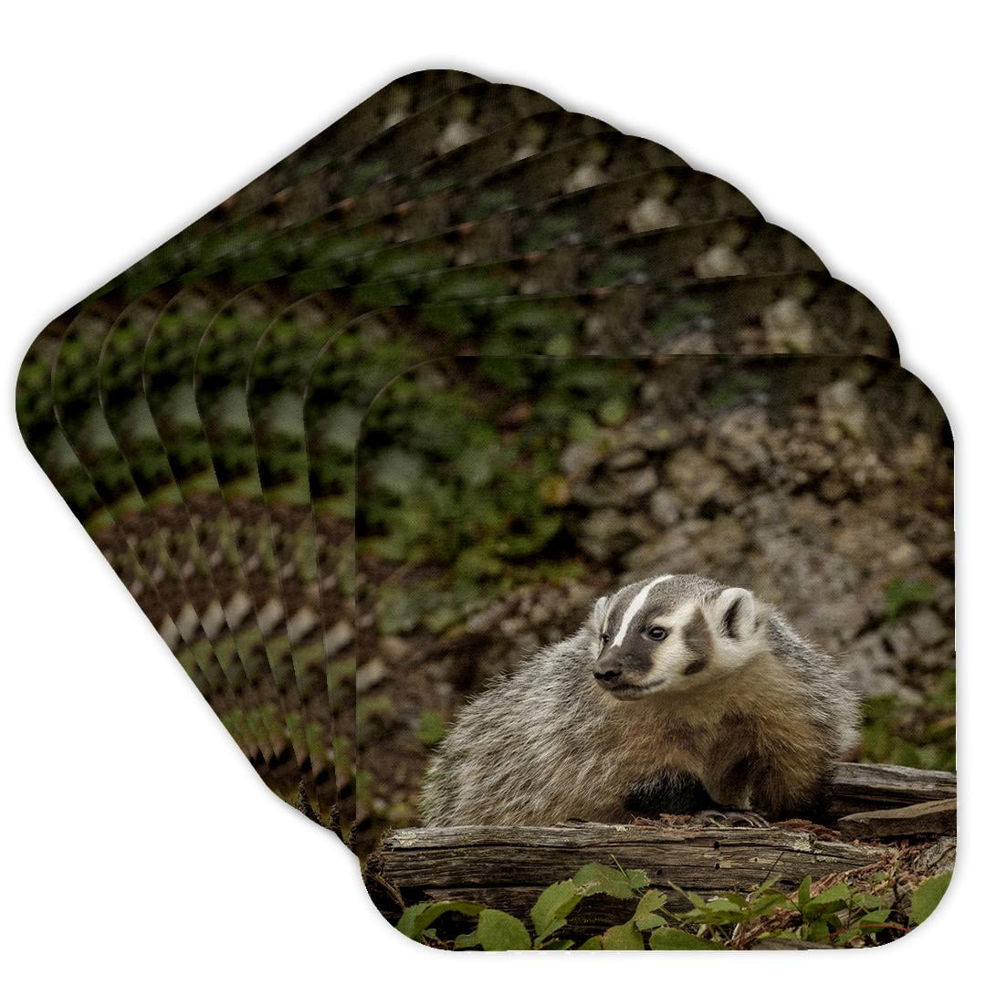 3drose, American Badger., Set of 8 Coasters - Cork - Walmart.com