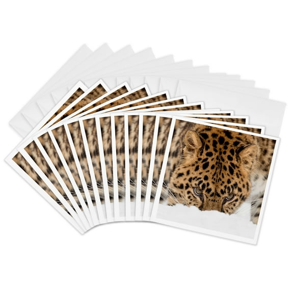3drose, Amur Leopard in Winter., 12 Greeting Cards with Envelopes ...
