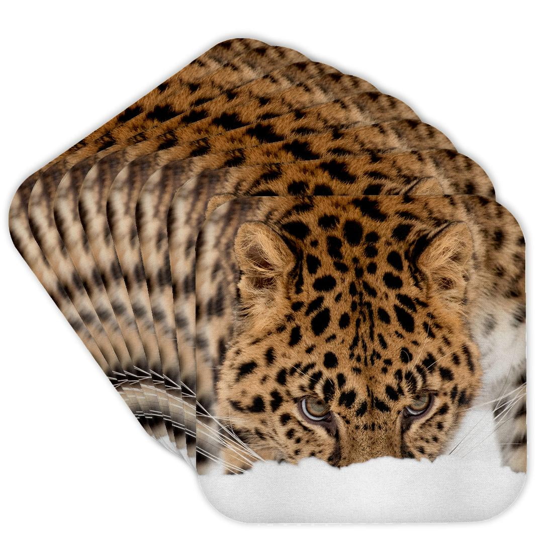 3drose, Amur Leopard in Winter., Set of 8 Coasters - Cork - Walmart.com